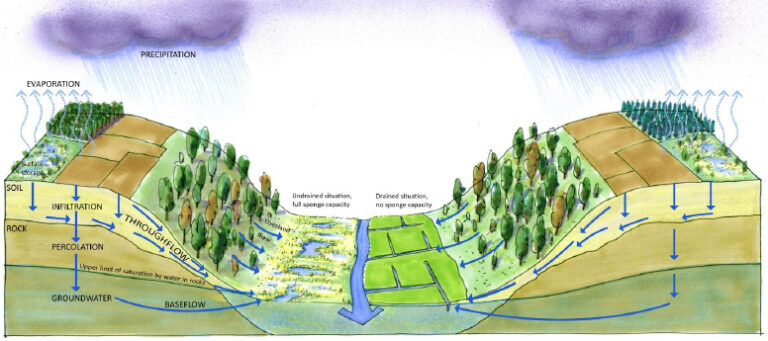 Climate Innovation Window - Water retention through restoration of the ...